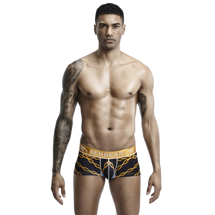 SEOBEAN Luxe Print Silk Low-Waist Boxers – Queer In The World: The Shop