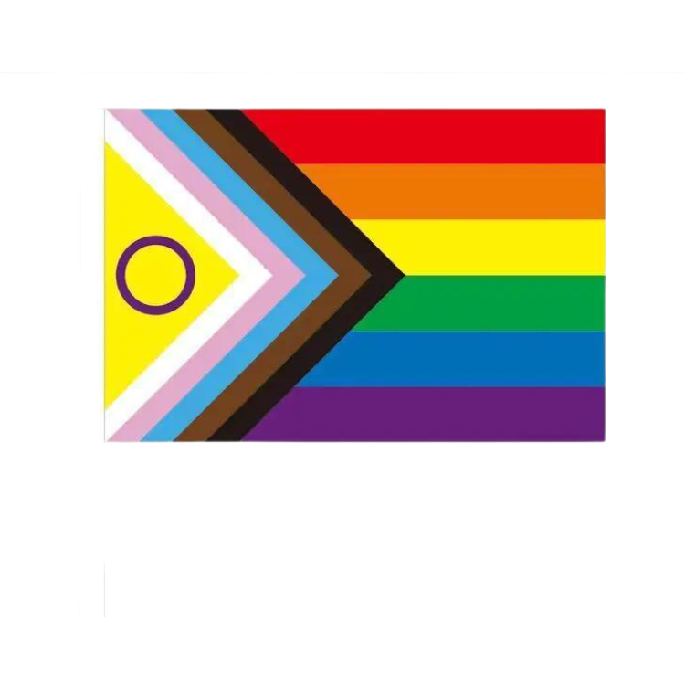 100 Handheld LGBT Pride Flags – Queer In The World: The Shop