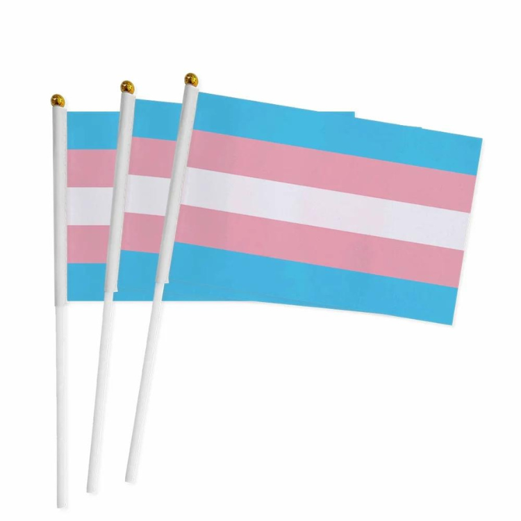 100 Handheld LGBT Pride Flags – Queer In The World: The Shop