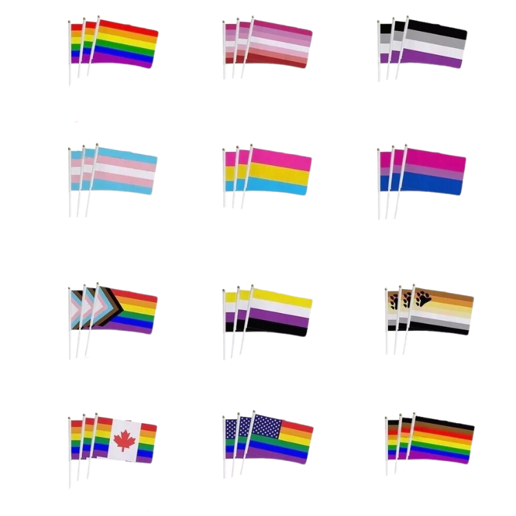 100 Handheld LGBT Pride Flags – Queer In The World: The Shop
