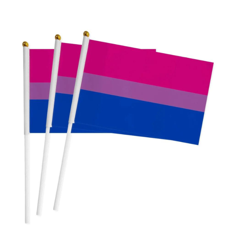 100 Handheld LGBT Pride Flags – Queer In The World: The Shop