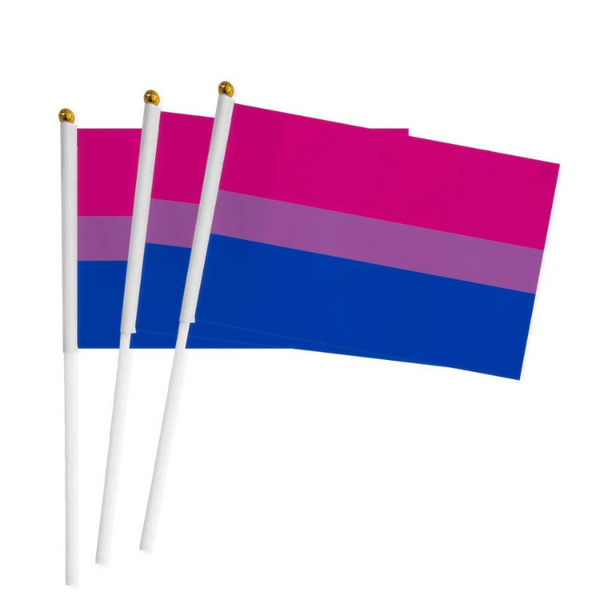 100 Handheld LGBT Pride Flags – Queer In The World: The Shop