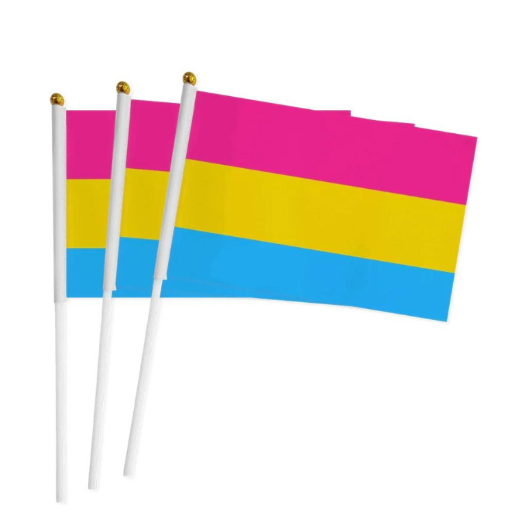 100 Handheld LGBT Pride Flags – Queer In The World: The Shop