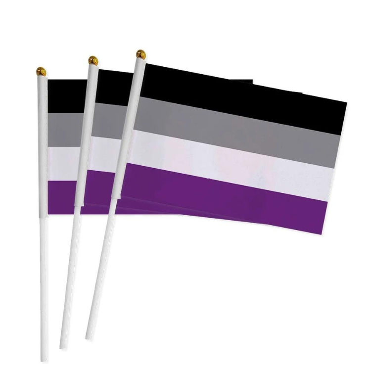 100 Handheld LGBT Pride Flags – Queer In The World: The Shop