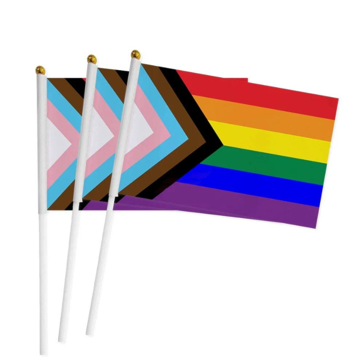 100 Handheld LGBT Pride Flags – Queer In The World: The Shop