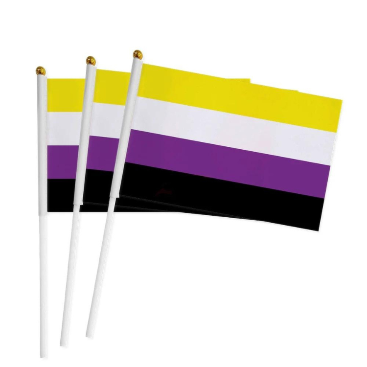 100 Handheld LGBT Pride Flags – Queer In The World: The Shop