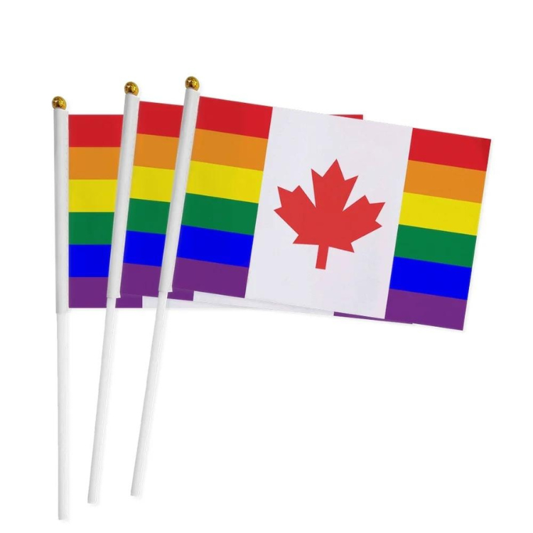 100 Handheld LGBT Pride Flags – Queer In The World: The Shop