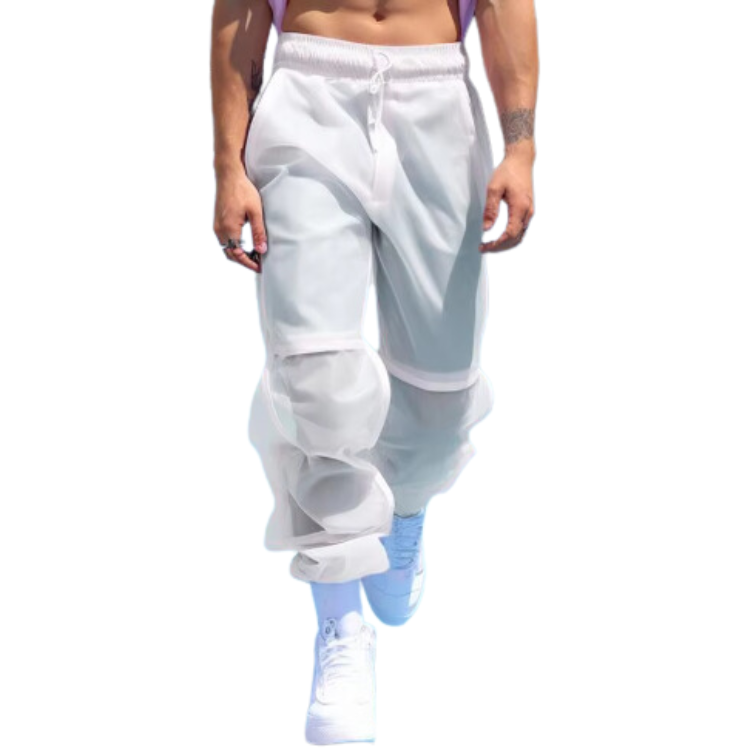 Chic Transparent Runway Pants – Queer In The World: The Shop