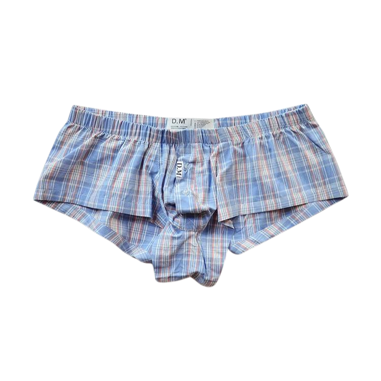 D.M. Low Rise Sexy Plaid Home Boxer Briefs – Queer In The World: The Shop