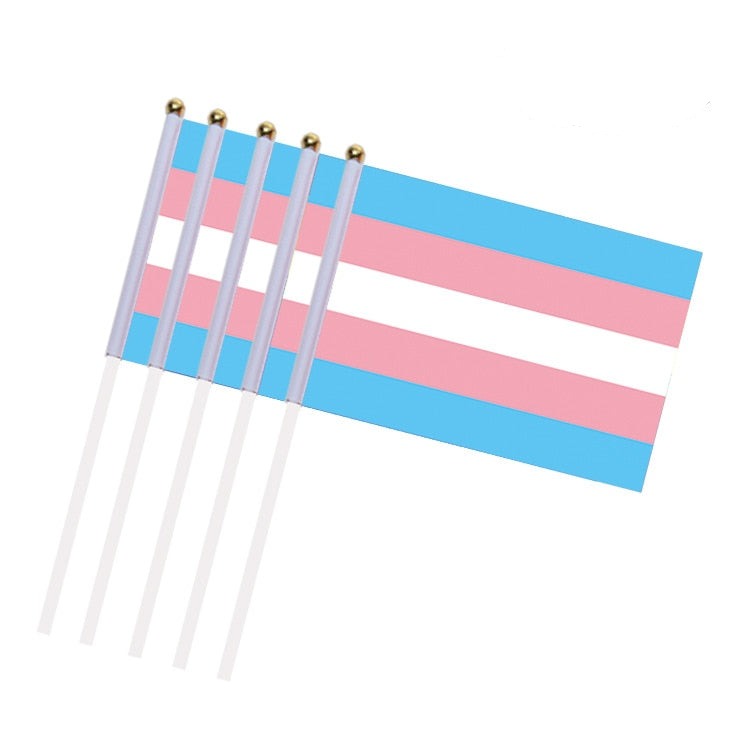 25 Handheld Transgender Pride Flags – Queer In The World: The Shop