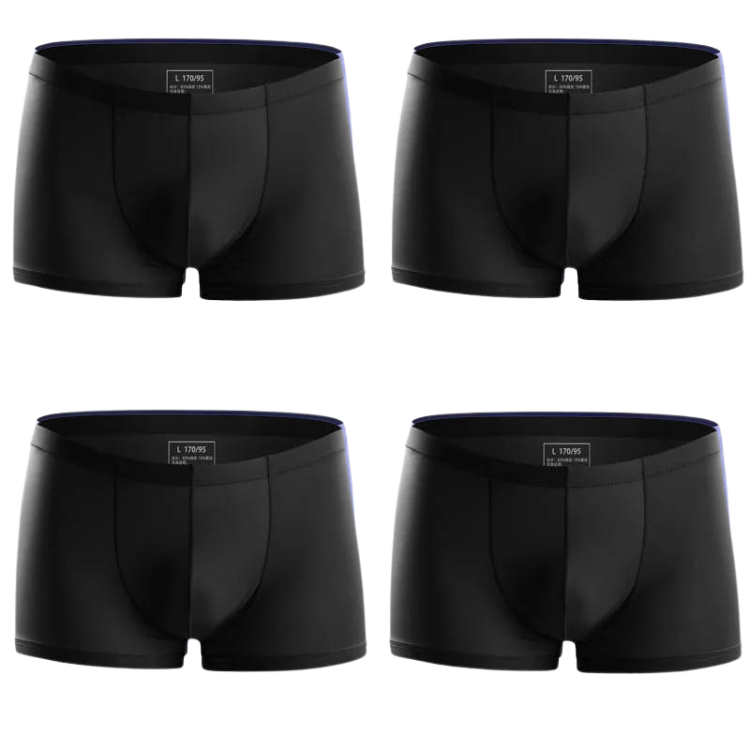 Ice Embrace Transparent Boxer Briefs (4 Pack) – Queer In The World: The ...