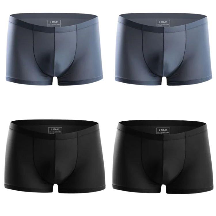 Ice Embrace Transparent Boxer Briefs (4 Pack) – Queer In The World: The ...