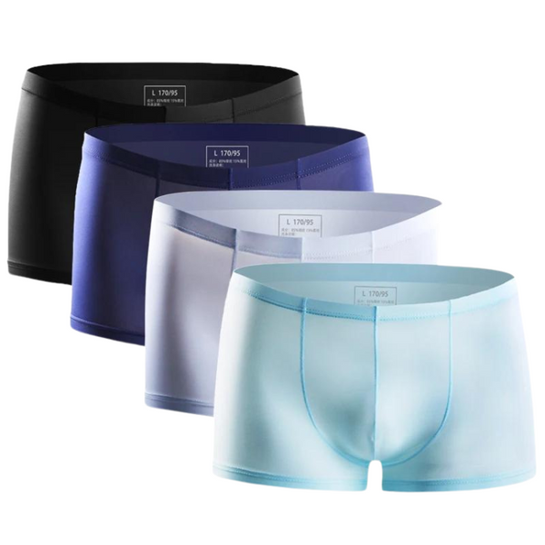 Ice Embrace Transparent Boxer Briefs (4 Pack) – Queer In The World: The ...