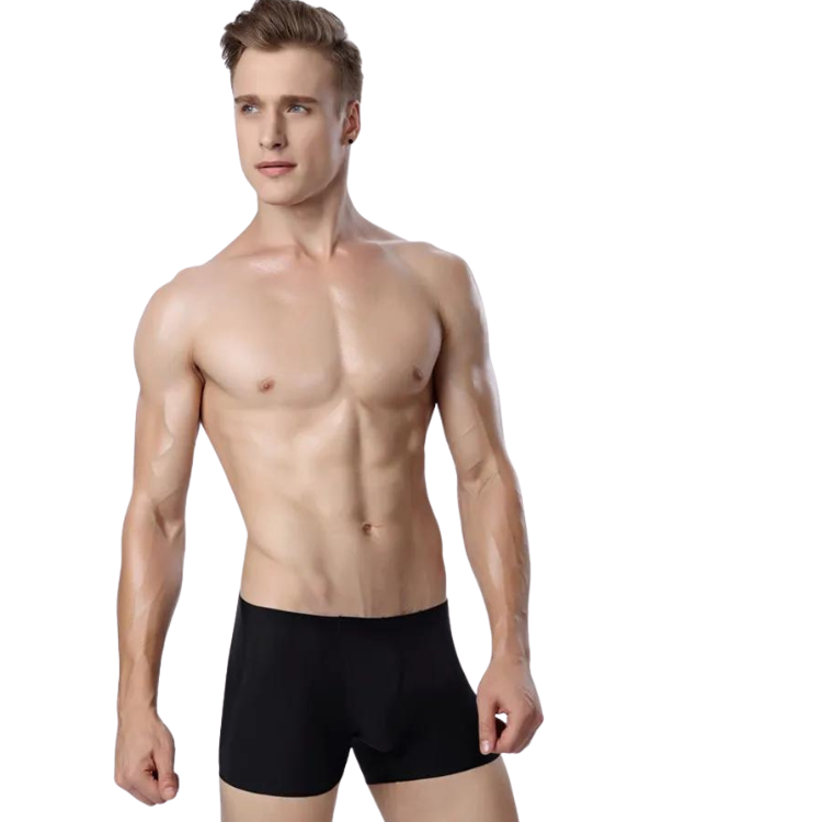 Ice Embrace Transparent Boxer Briefs (4 Pack) – Queer In The World: The ...