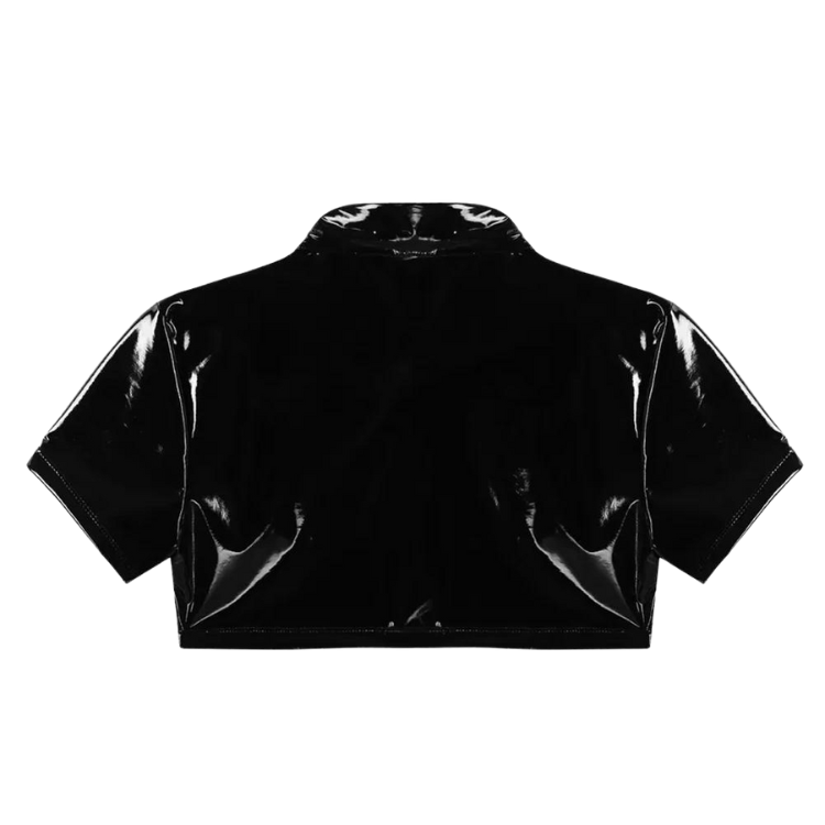 PVC Shimmer Kink Crop Top – Queer In The World: The Shop