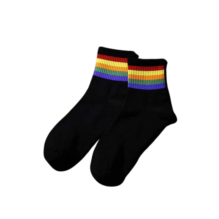 Pride In Every Step LGBTQ socks – Queer In The World: The Shop