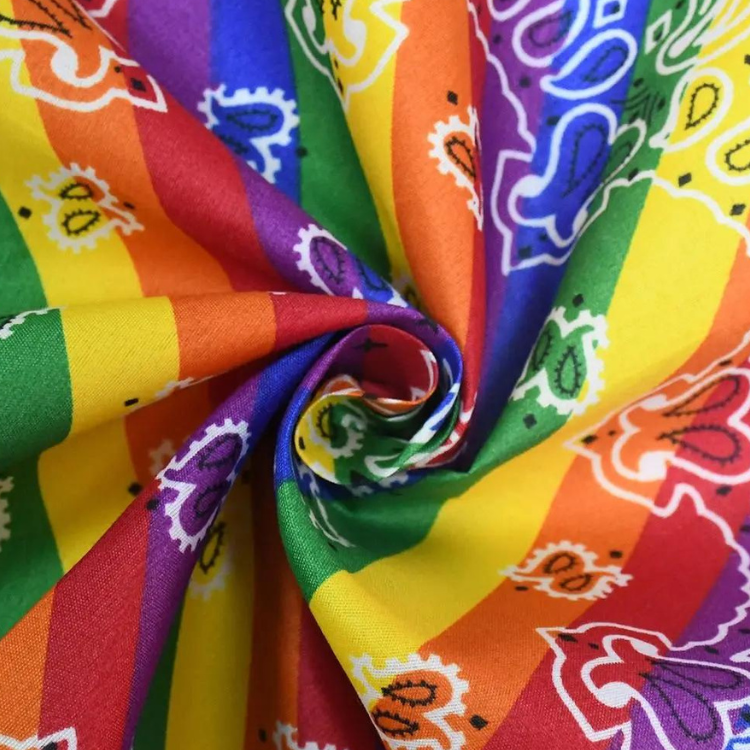 Pride Pop Rainbow Pocket Square – Queer In The World: The Shop
