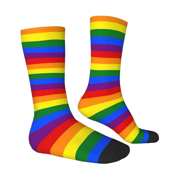 Pride Stride Rainbow Socks – Queer In The World: The Shop