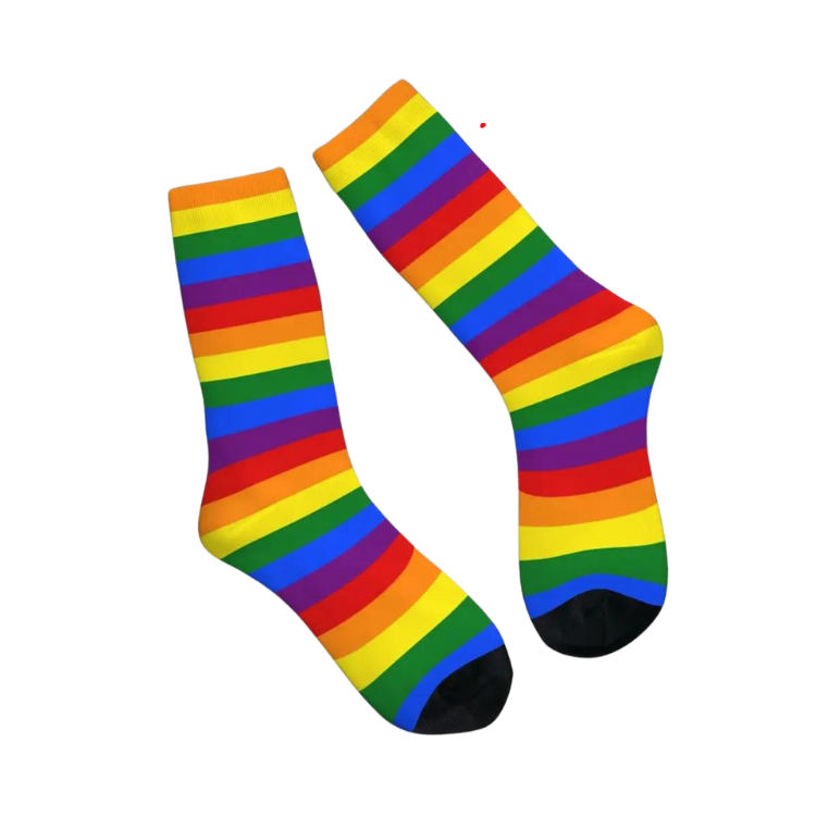 Pride Stride Rainbow Socks – Queer In The World: The Shop