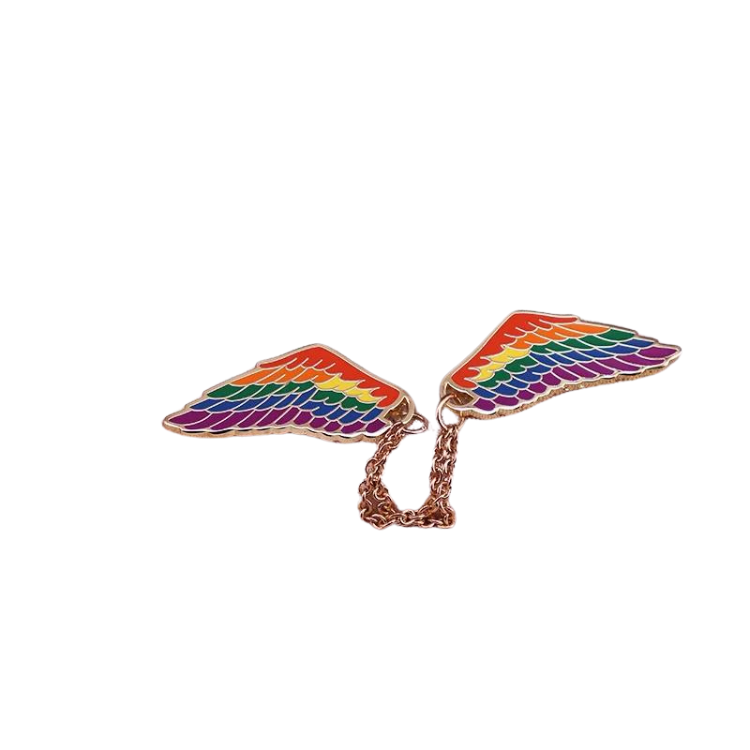 Rainbow Wings Enamel Pin – Queer In The World: The Shop