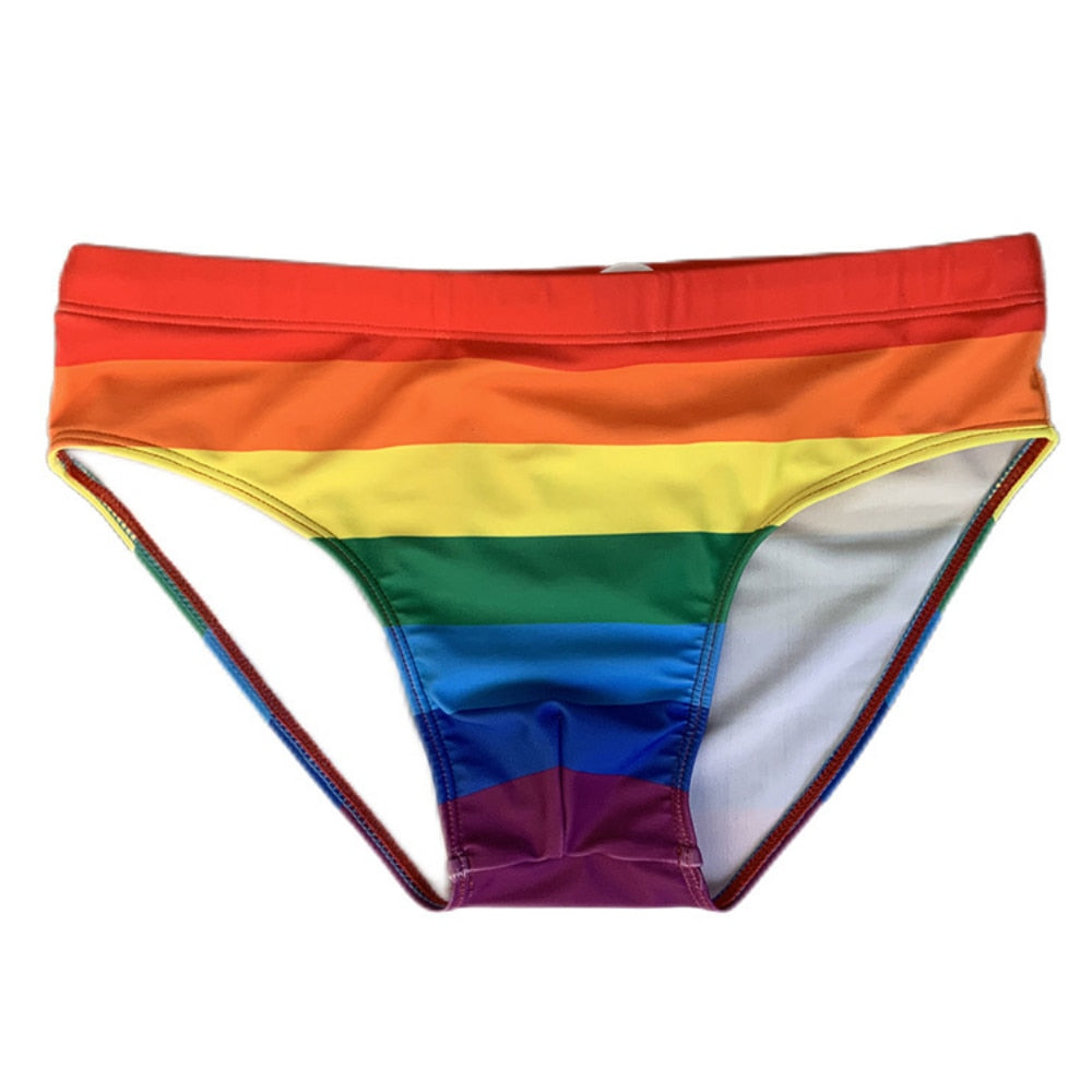 Queer Pride Swim Briefs – Queer In The World: The Shop