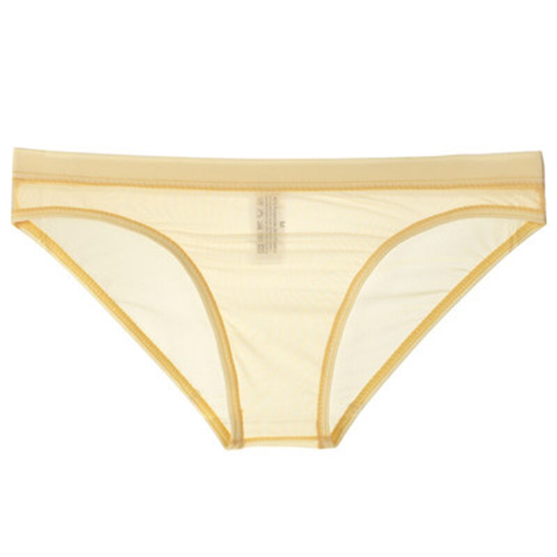Sheer Mesh Skinny Briefs – Queer In The World: The Shop
