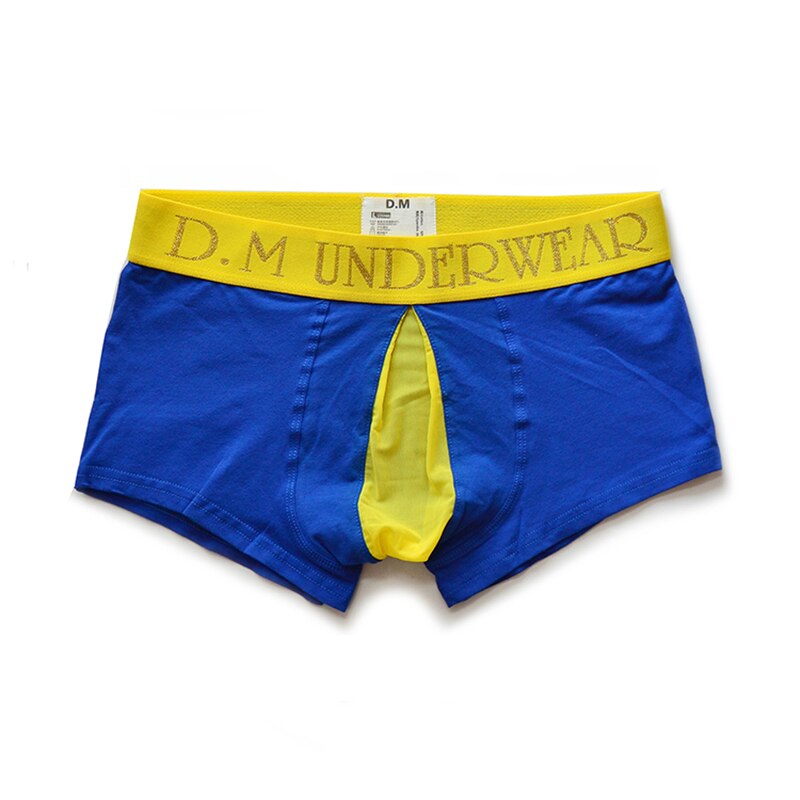 D.M. Bold & Beautiful Transparent Boxer Briefs – Queer In The World ...