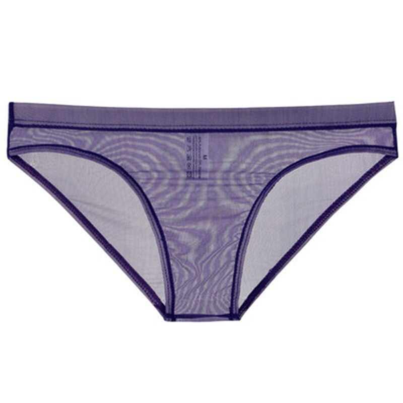 Sheer Mesh Skinny Briefs – Queer In The World: The Shop