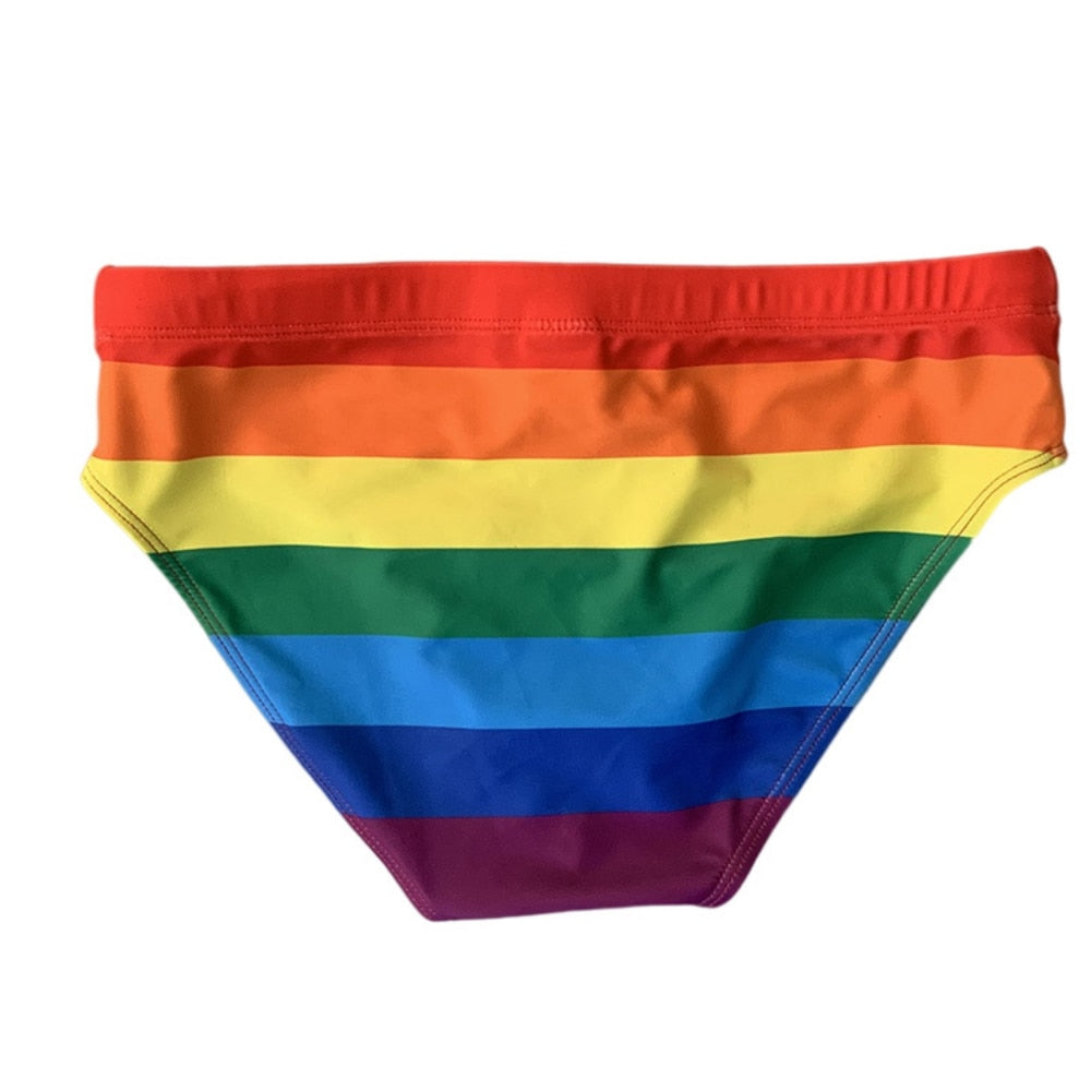 Queer Pride Swim Briefs – Queer In The World: The Shop