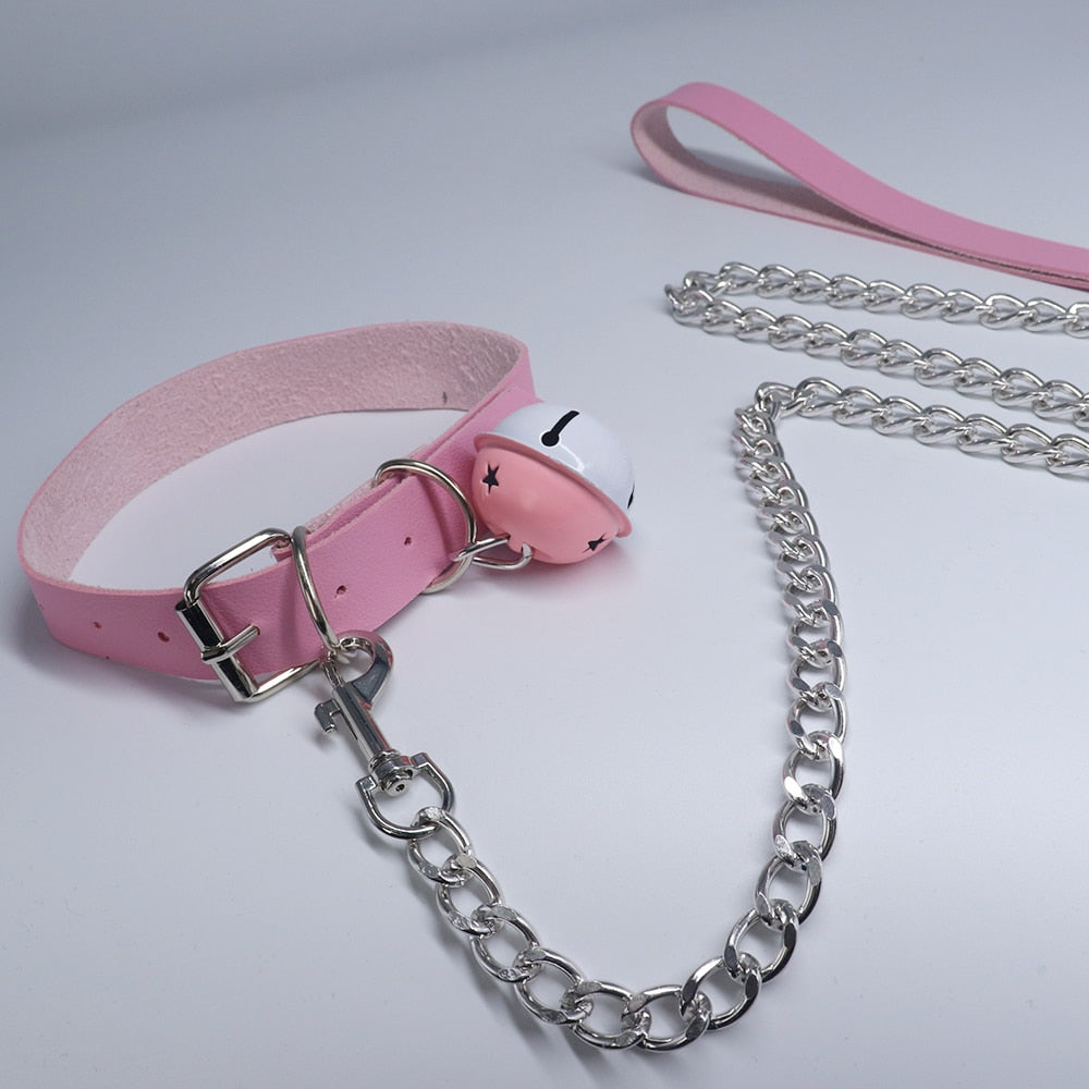 Adjustable Choker Collar With Leash – Queer In The World: The Shop