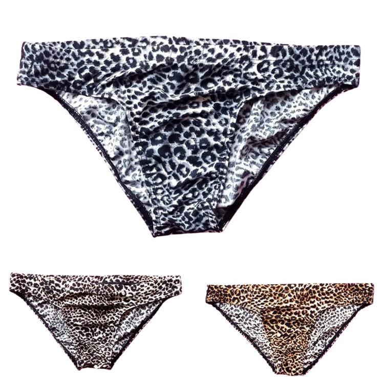 Wild Thoughts Fierce Leopard Men's Briefs – Queer In The World: The Shop