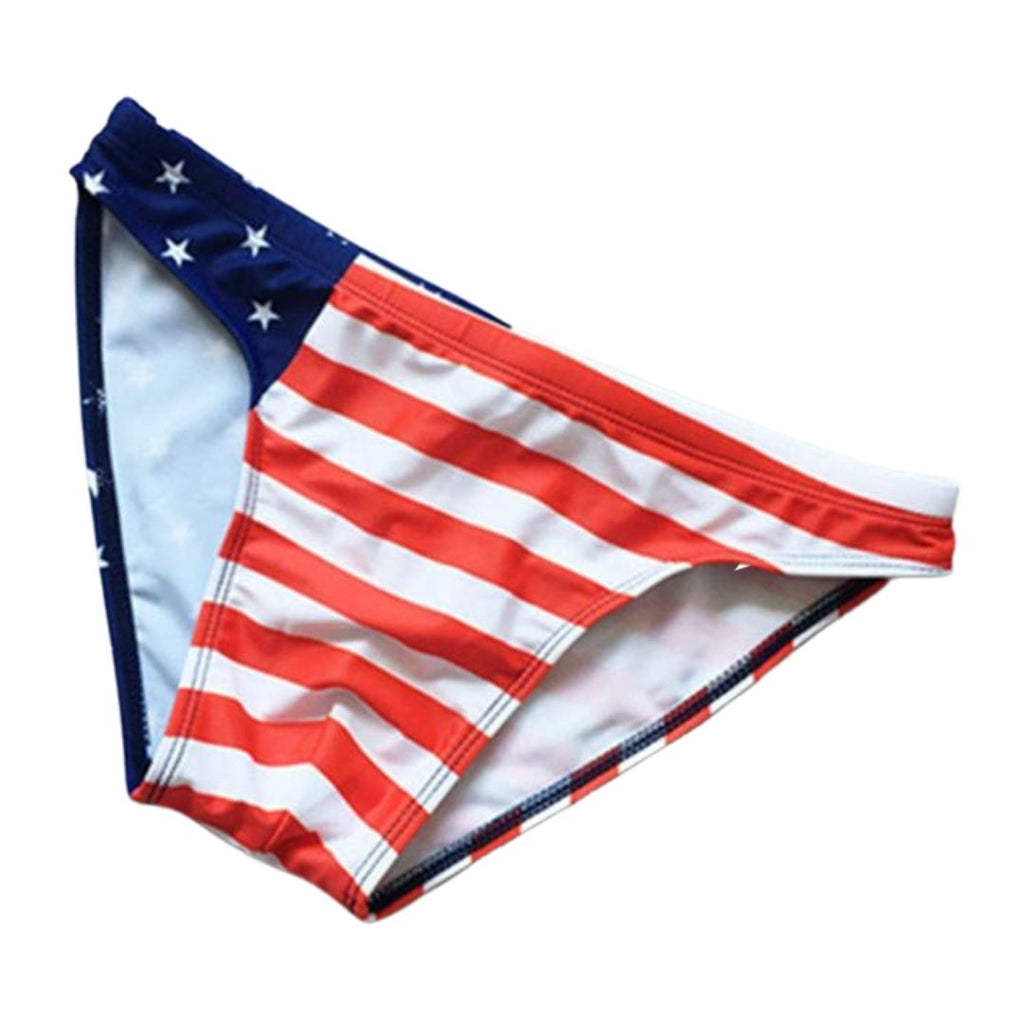 American Flag Swim Briefs – Queer In The World: The Shop