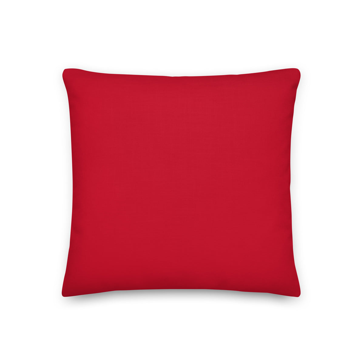 Shadier Than A Palm Tree Pillow – Queer In The World: The Shop