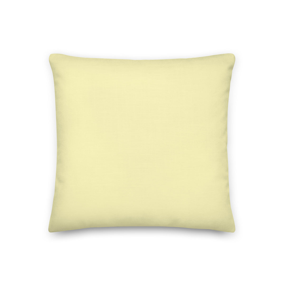 Slay The Day Pillow – Queer In The World: The Shop