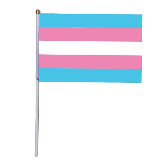 100 x Hand-Held Transgender Pride Flags – Queer In The World: The Shop