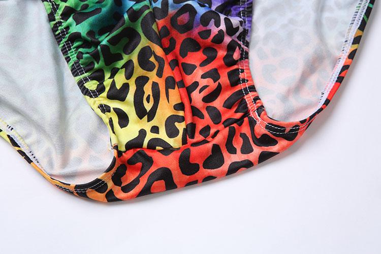 Rainbow Leopard Print Swim Briefs – Queer In The World: The Shop