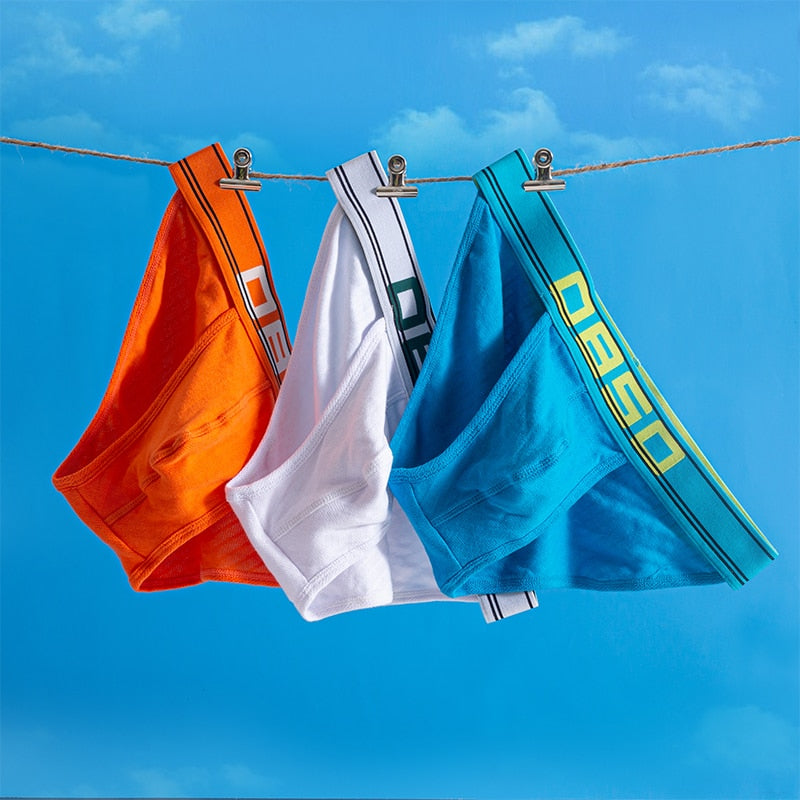 OBSO Low Waisted Briefs – Queer In The World: The Shop