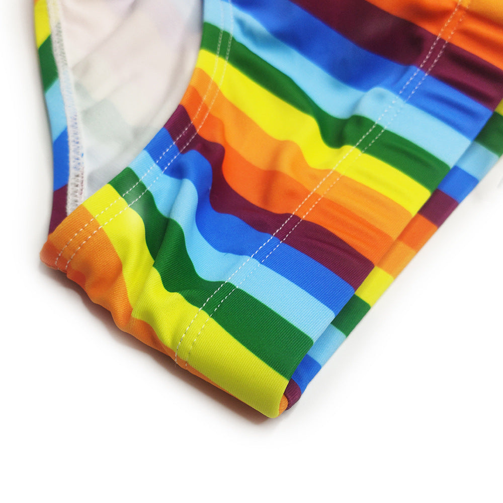 Pride Rainbow Swim Briefs – Queer In The World: The Shop
