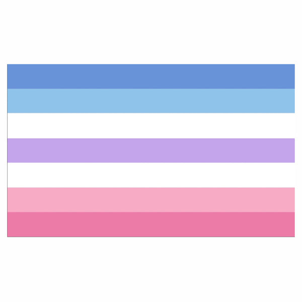 Bigender Pride Flag – Queer In The World: The Shop